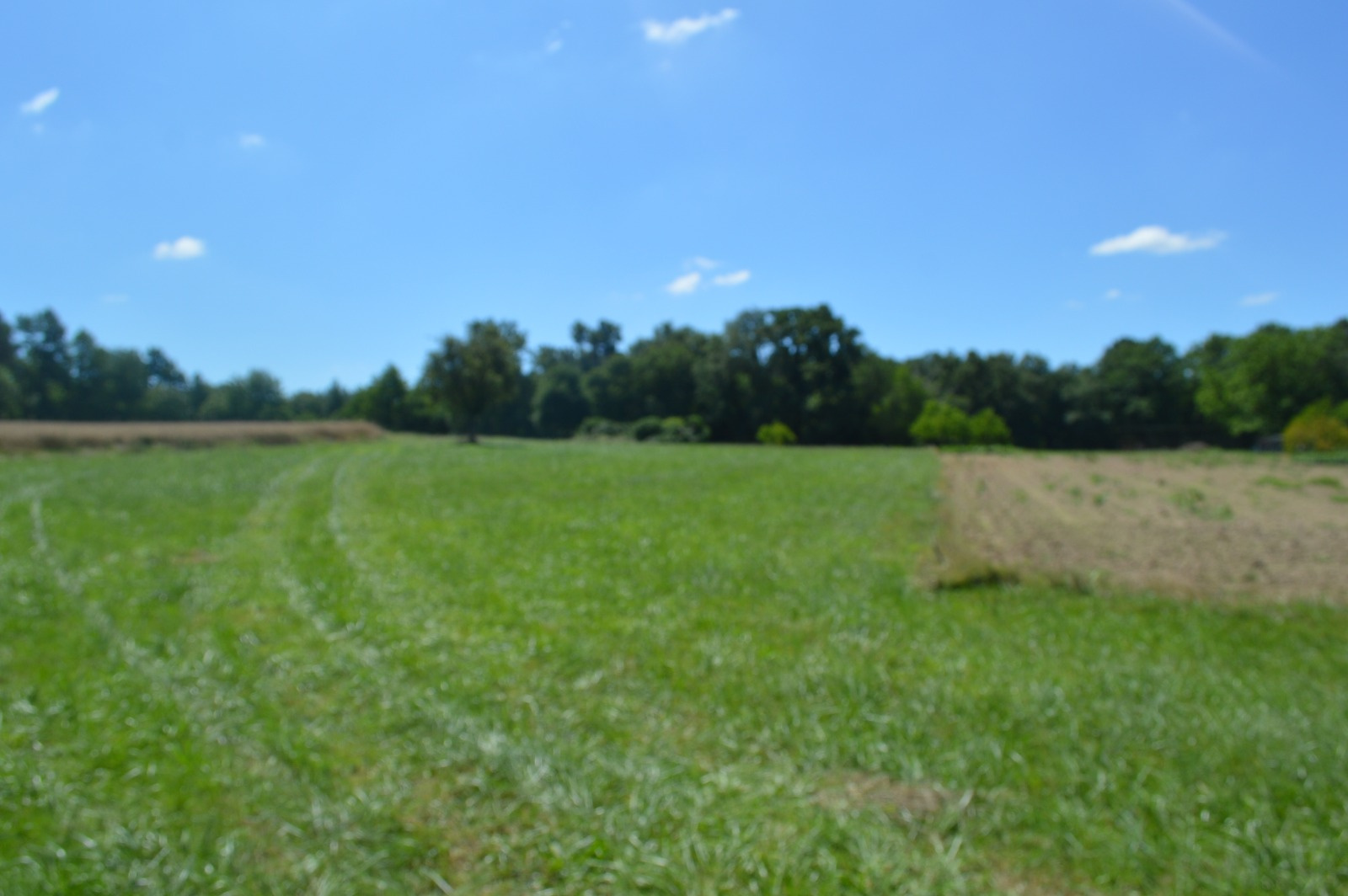 vente Beau terrain plat